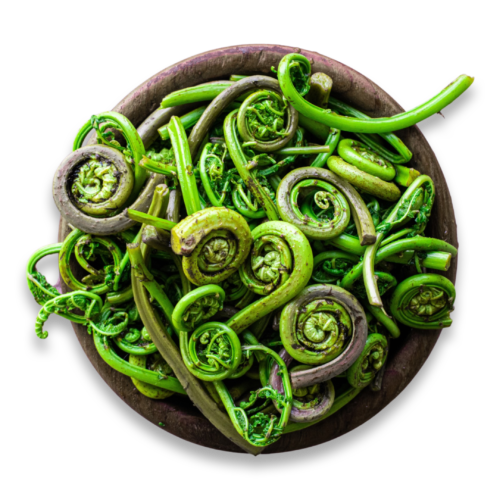 How to Cook Fiddleheads - Foraged