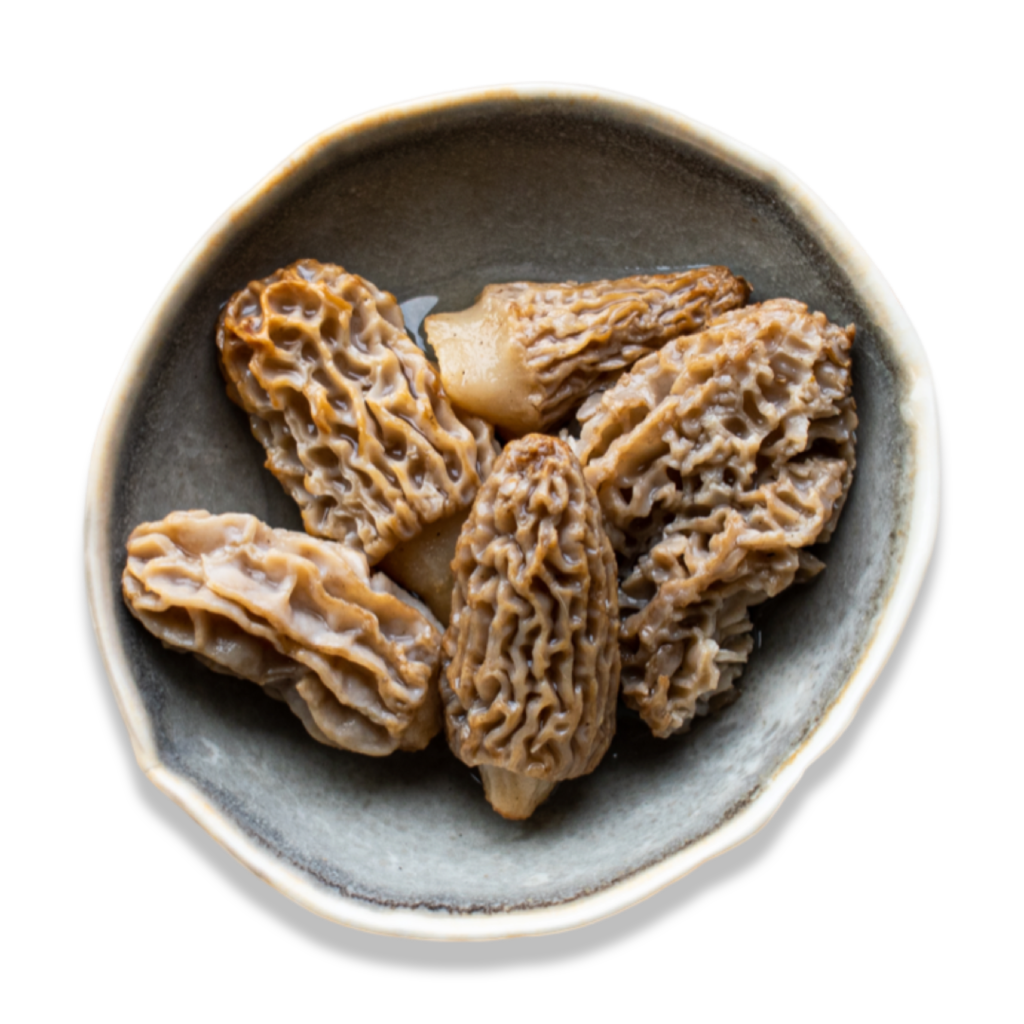Pickled Morels - Foraged