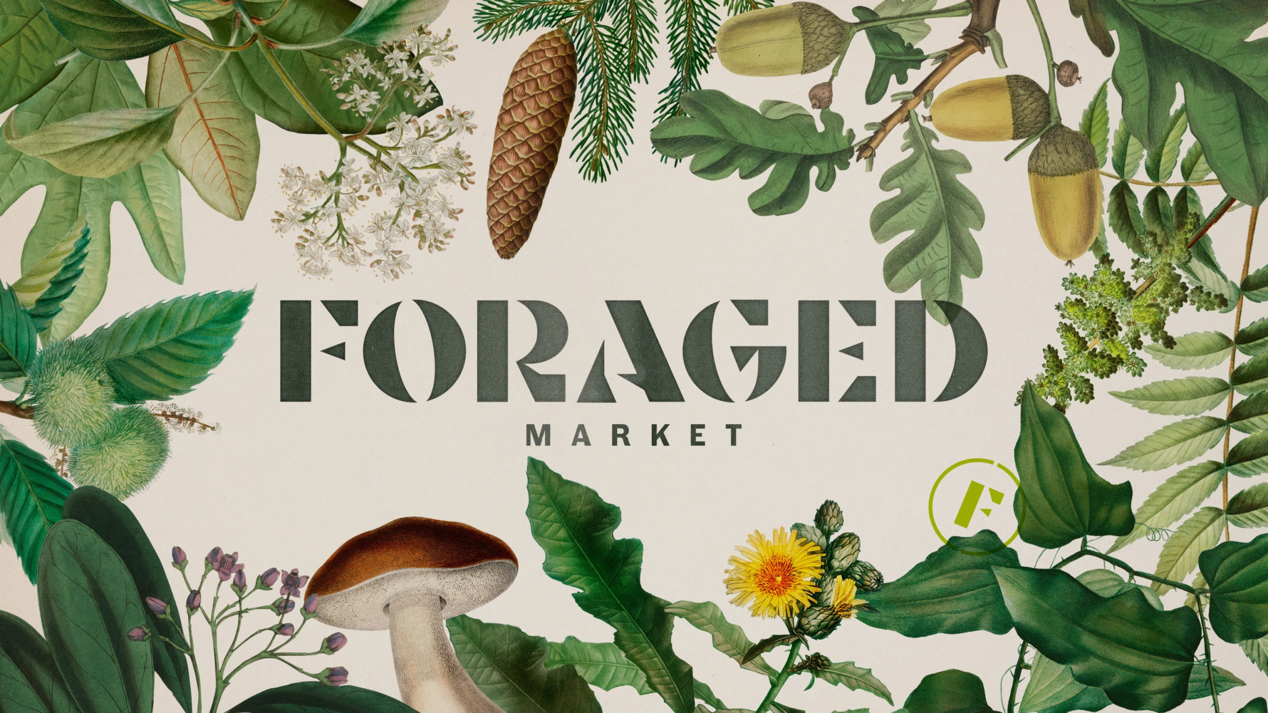 Shipping Policy - Foraged