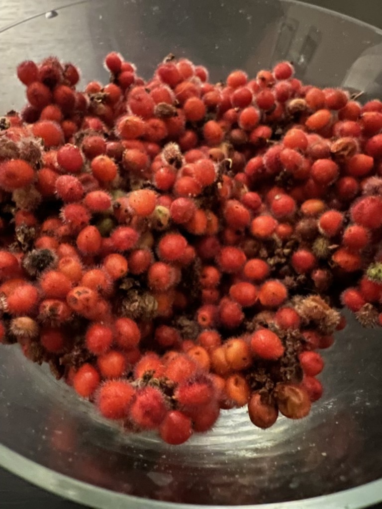 Fresh "Fragrant Sumac" - Whole Berries (Not dried) RARE. Organically ...