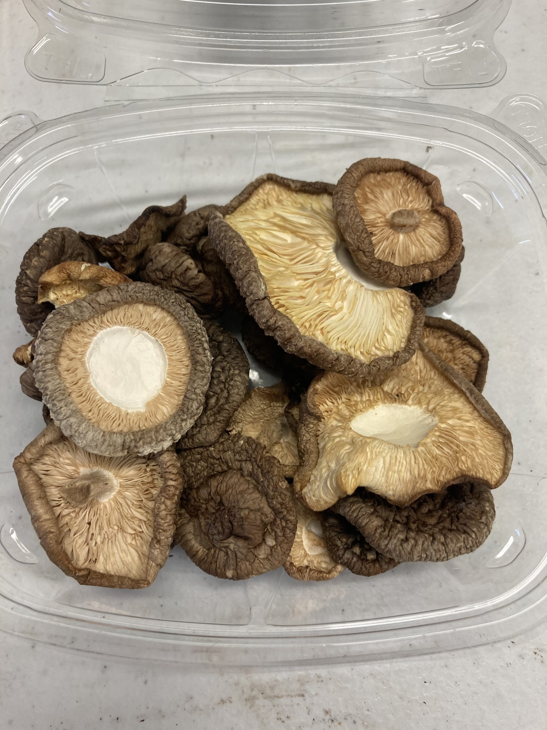Dehydrated Log Grown Shiitake Mushrooms - Buy Online | Foraged