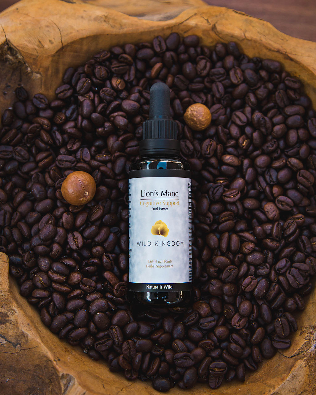 Lion's Mane Extract - Foraged