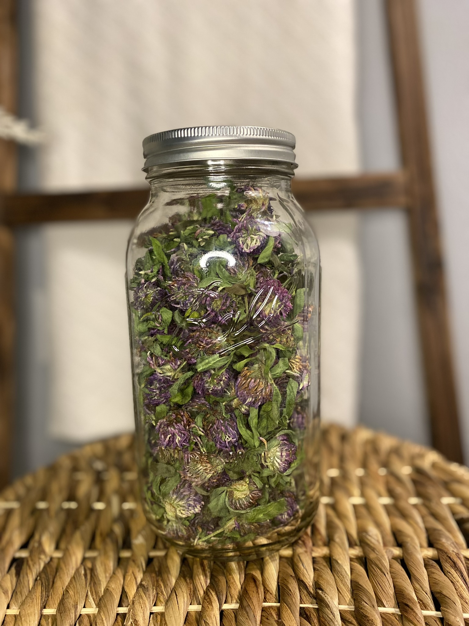 Dried Wild Red Clover Blossoms - Buy Online | Foraged