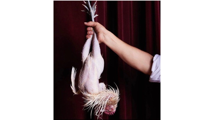 Bresse Bluefoot Chickens - Buy Online | Foraged