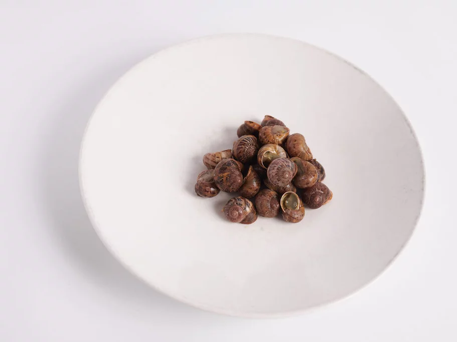 Essential Escargot Pack - Snails, Baking Dish, Picks - SHIPS TUESDAY ...