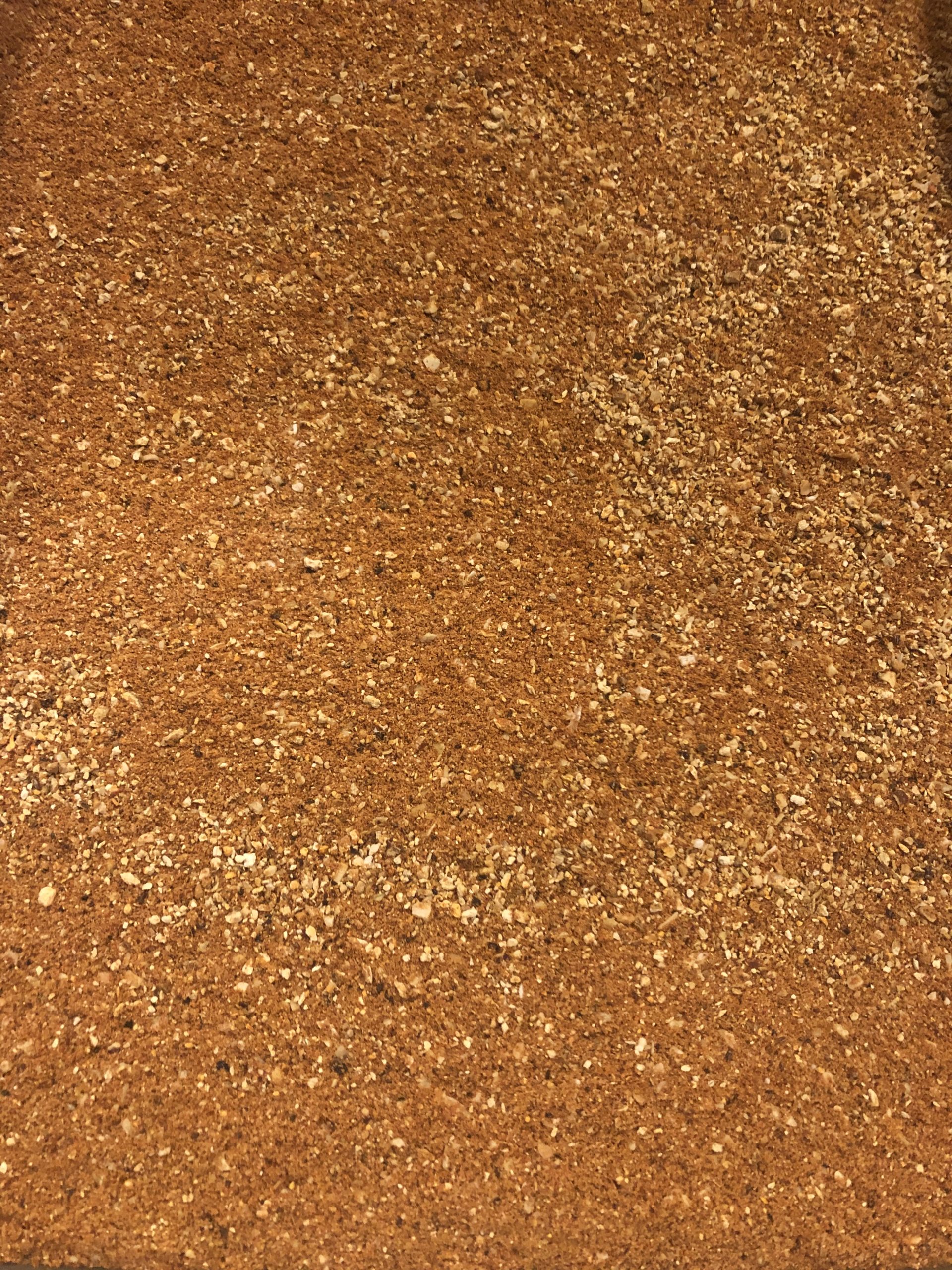 Chanterelle / Lobster Mushroom Garlic Spice Seasoning 4fl oz - Foraged