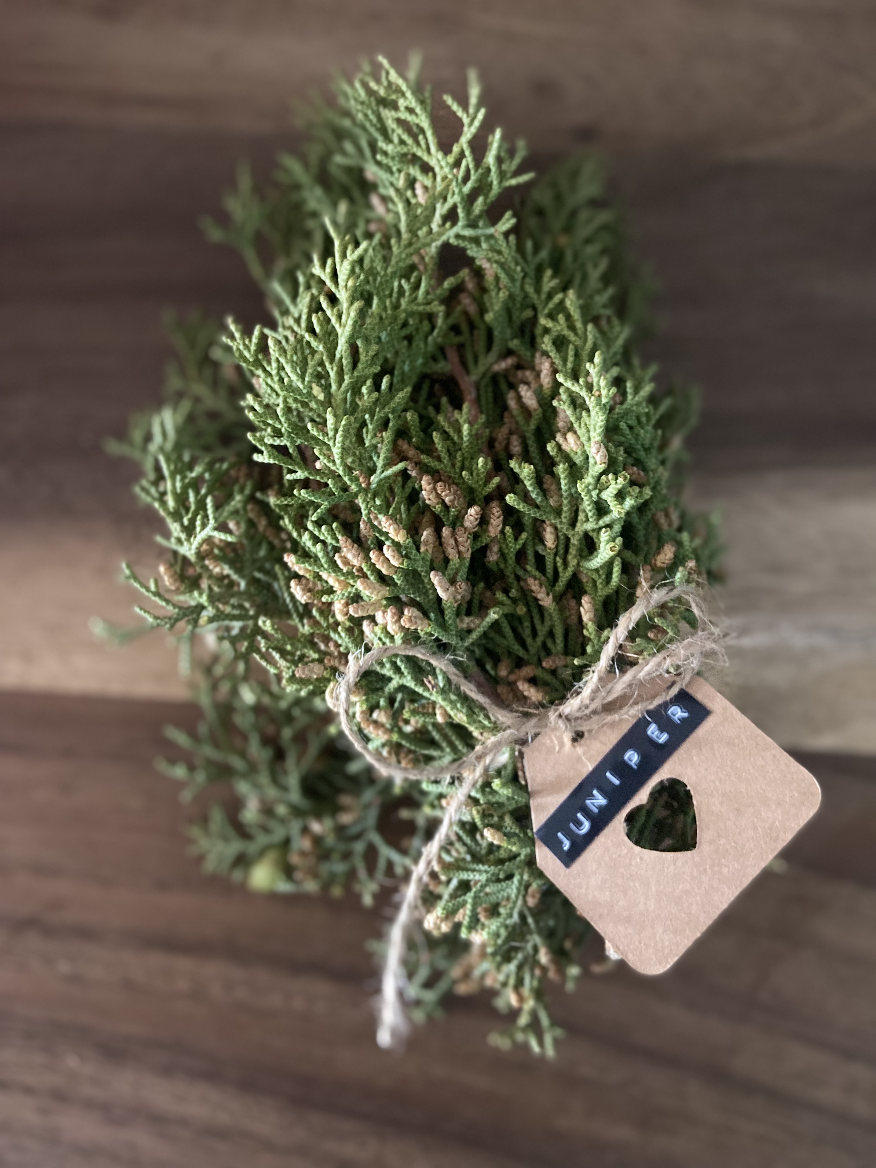 8 oz Wild foraged Fresh Cut California Juniper (Juniperus Californica ...