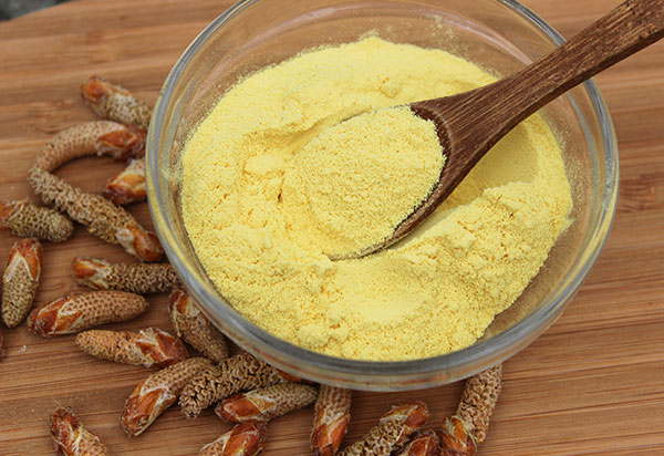 Pine Pollen Powder - Buy Online | Foraged