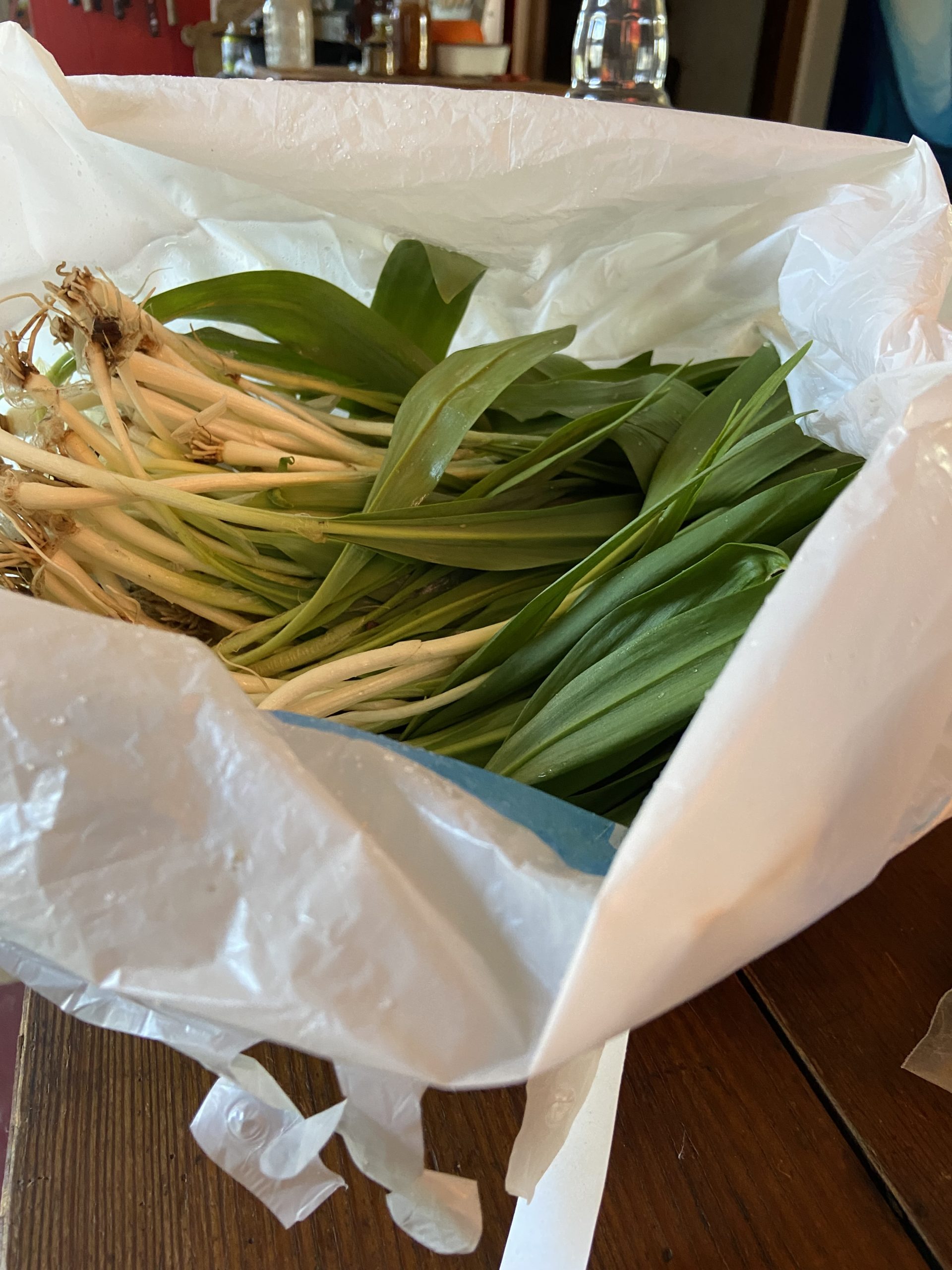 2# Fresh Wild Ramps- late April/early May - Buy Online | Foraged