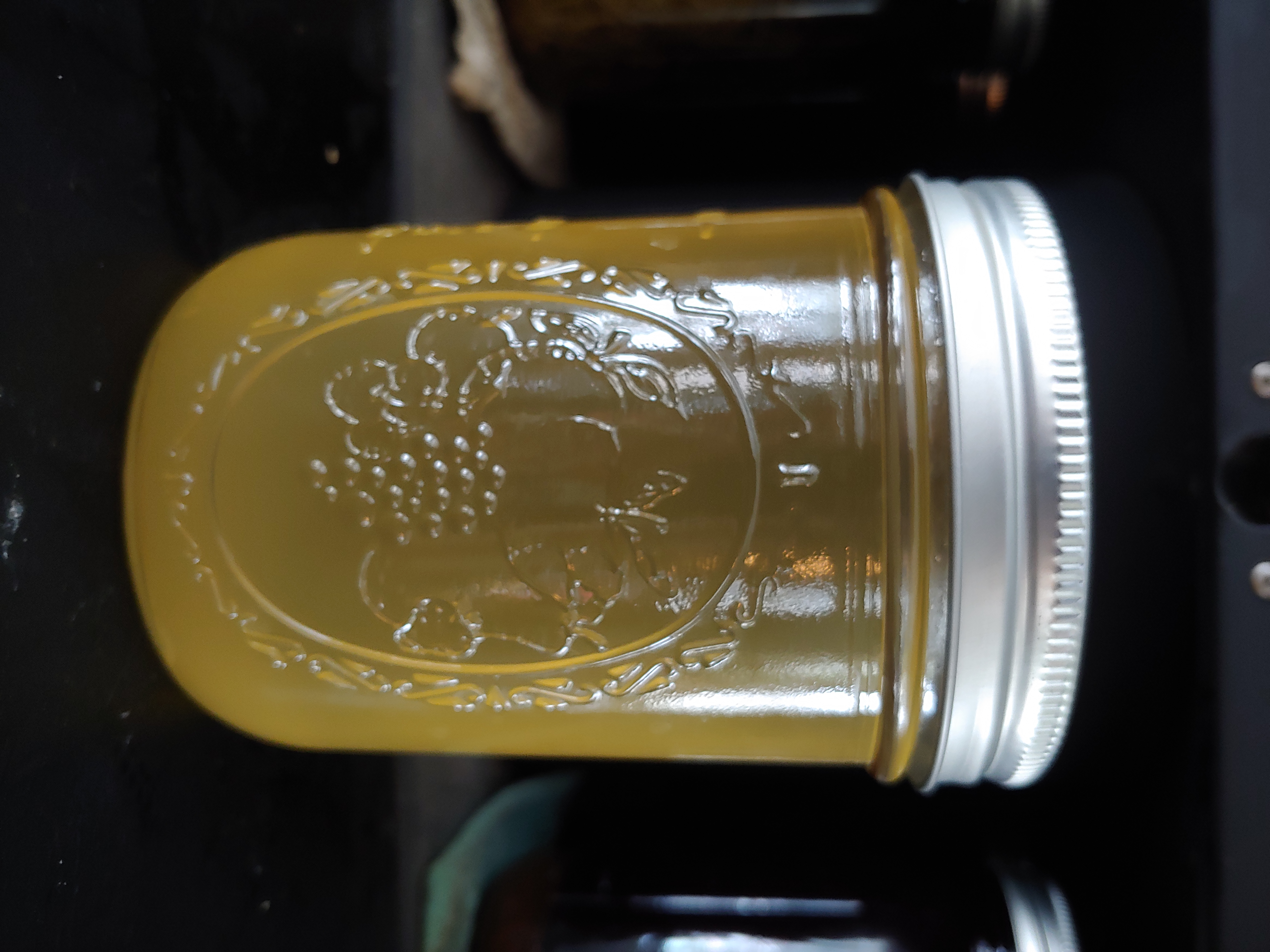 Bear Grease, 14oz - Buy Online | Foraged
