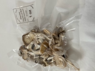 (Pleurotus ostreatus columinus) Blue Oyster Mushroom 1oz - Buy Online ...