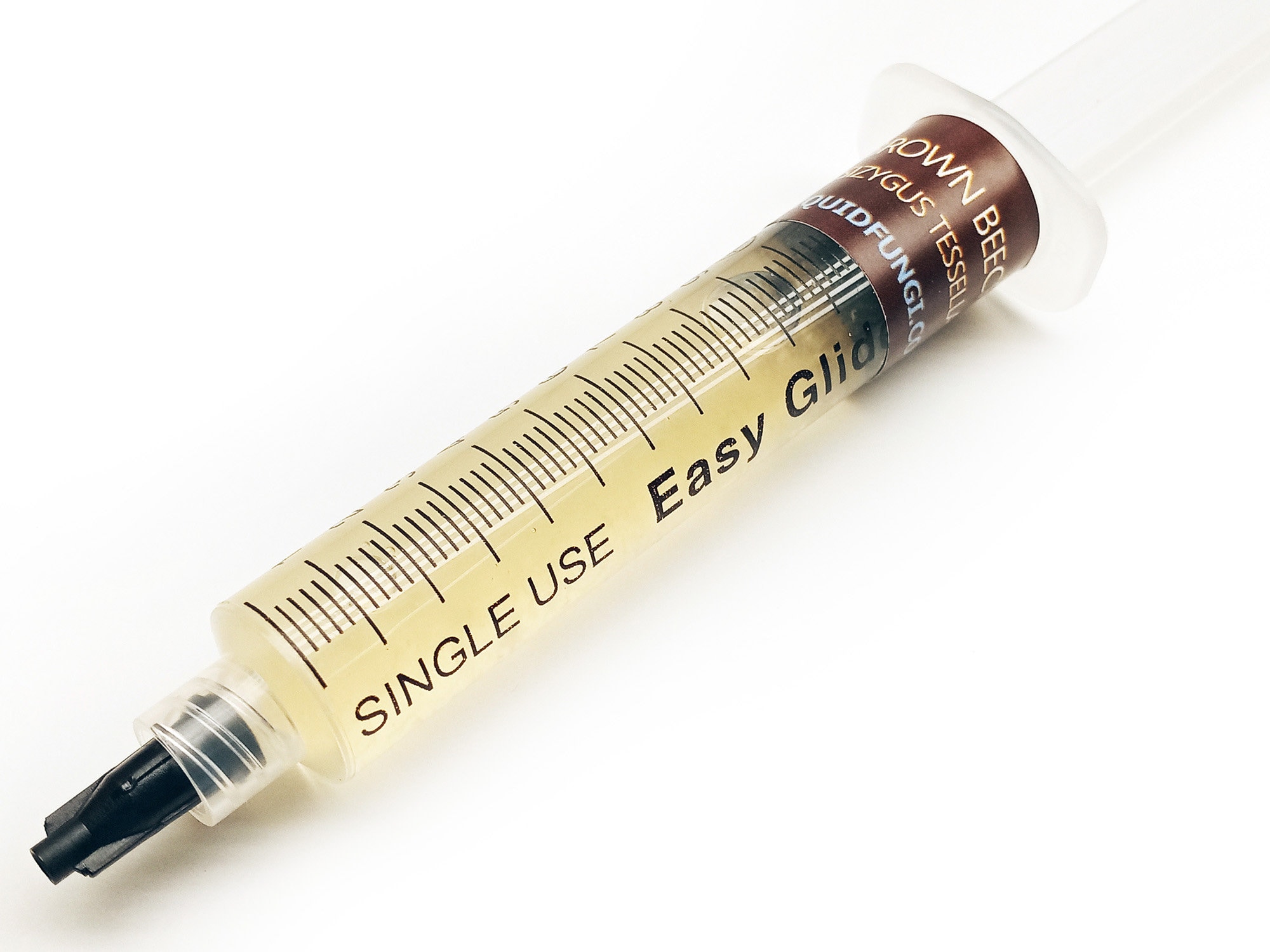 Brown Beech Liquid Culture Syringe - Buy Online | Foraged