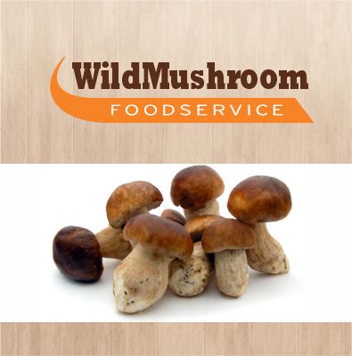 Dried Boletus edulis (porcini) - powder - Foraged